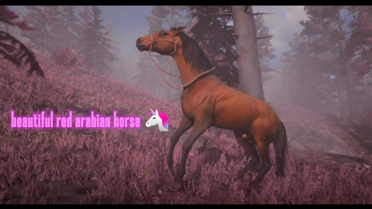 rdr2 rare red arabian horse taming & location red dead redemption 2 ...