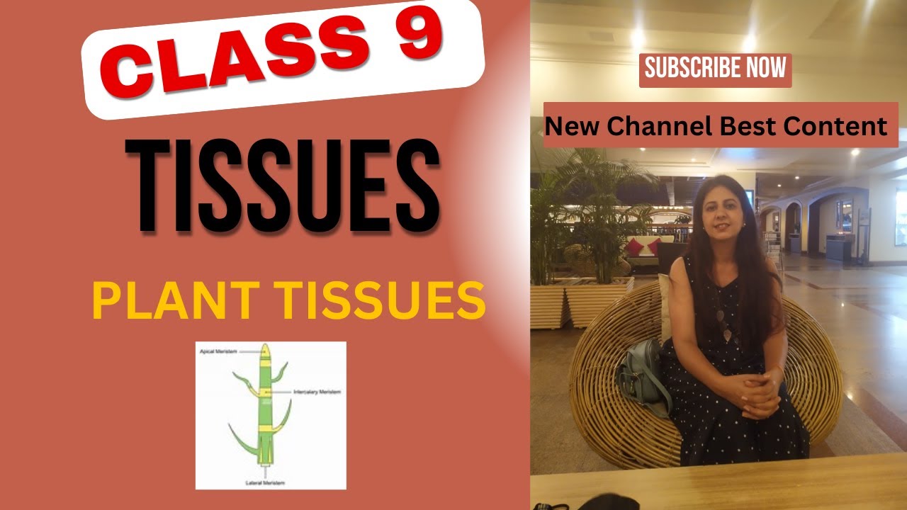 Meristematic Plant Tissues | Class 9 Tissues |Apical, Lateral and ...
