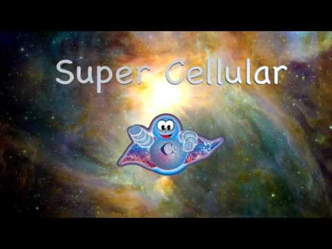 Super Cellular For Kids! - YouTube