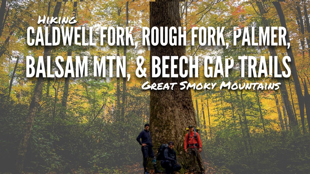 HIKING CALDWELL & ROUGH FORK, PALMER CREEK, BALSAM MTN, BEECH GAP ...