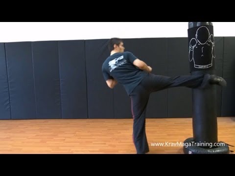 Krav Maga - Switch Kicks (Reason and Training Tips) - YouTube