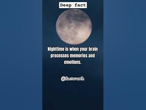 Nighttime brain process... #shorts #motivation - YouTube