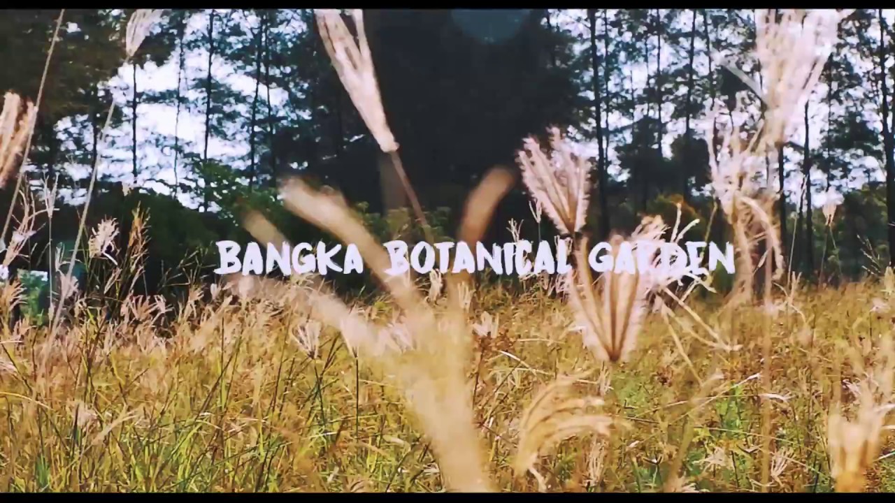 Bangka Botanical Garden (BBG) | FujiFilm X-A10 | TEST | - YouTube