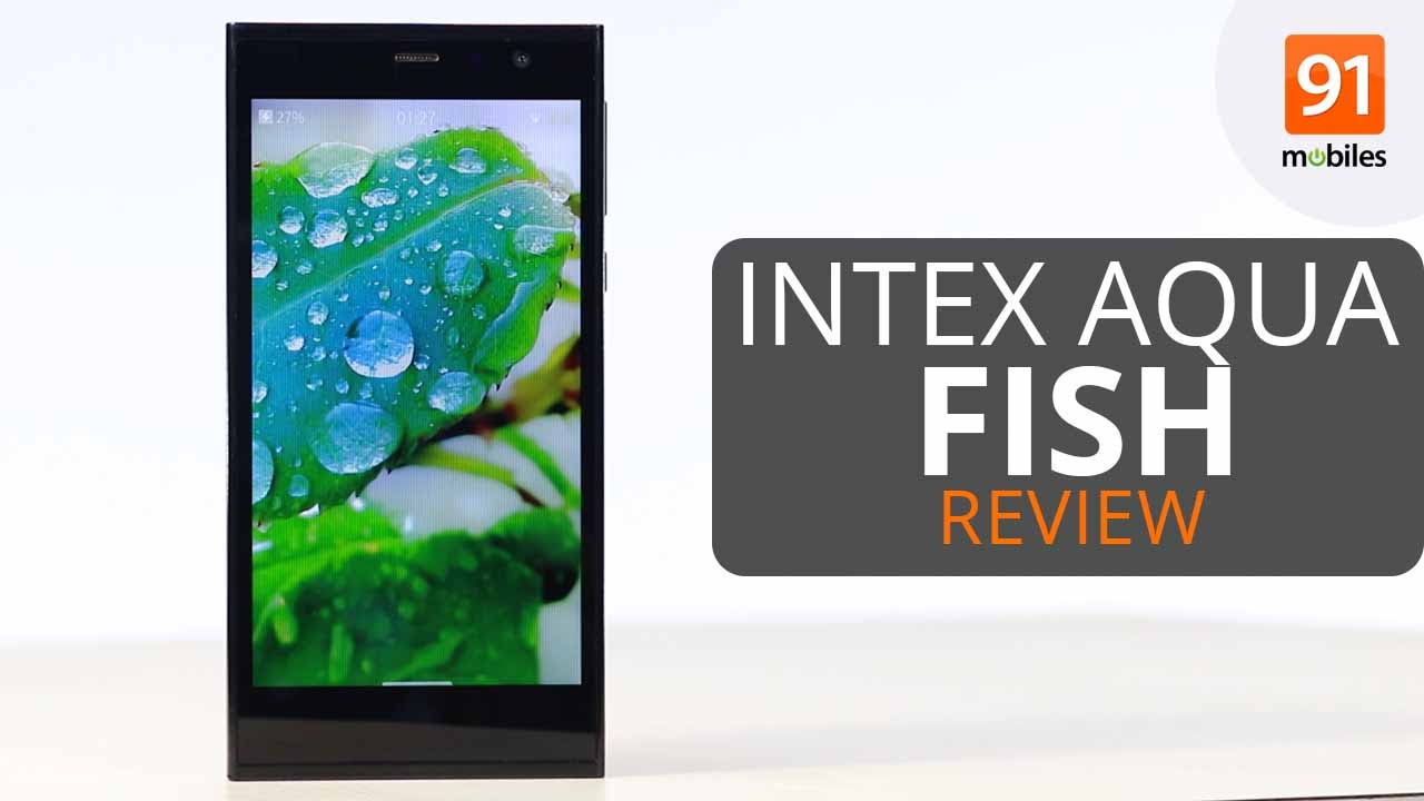 Intex Aqua Fish Review: Should you buy it in India? - YouTube
