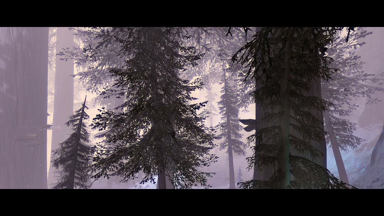 snowy forest | Griffon Old Growth | Bitterfrost Frontier | Guild Wars 2 ...