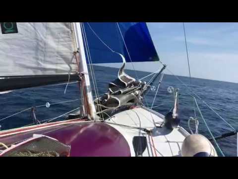 Mini Transat 6.5 - Genoa - YouTube