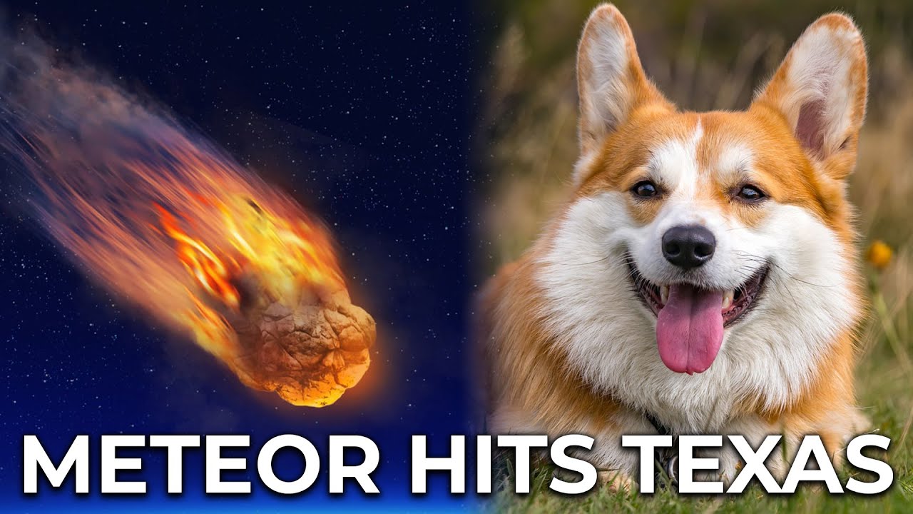 Corgi Sized Meteor With the Weight of Four Baby Elephants Hits Texas ...