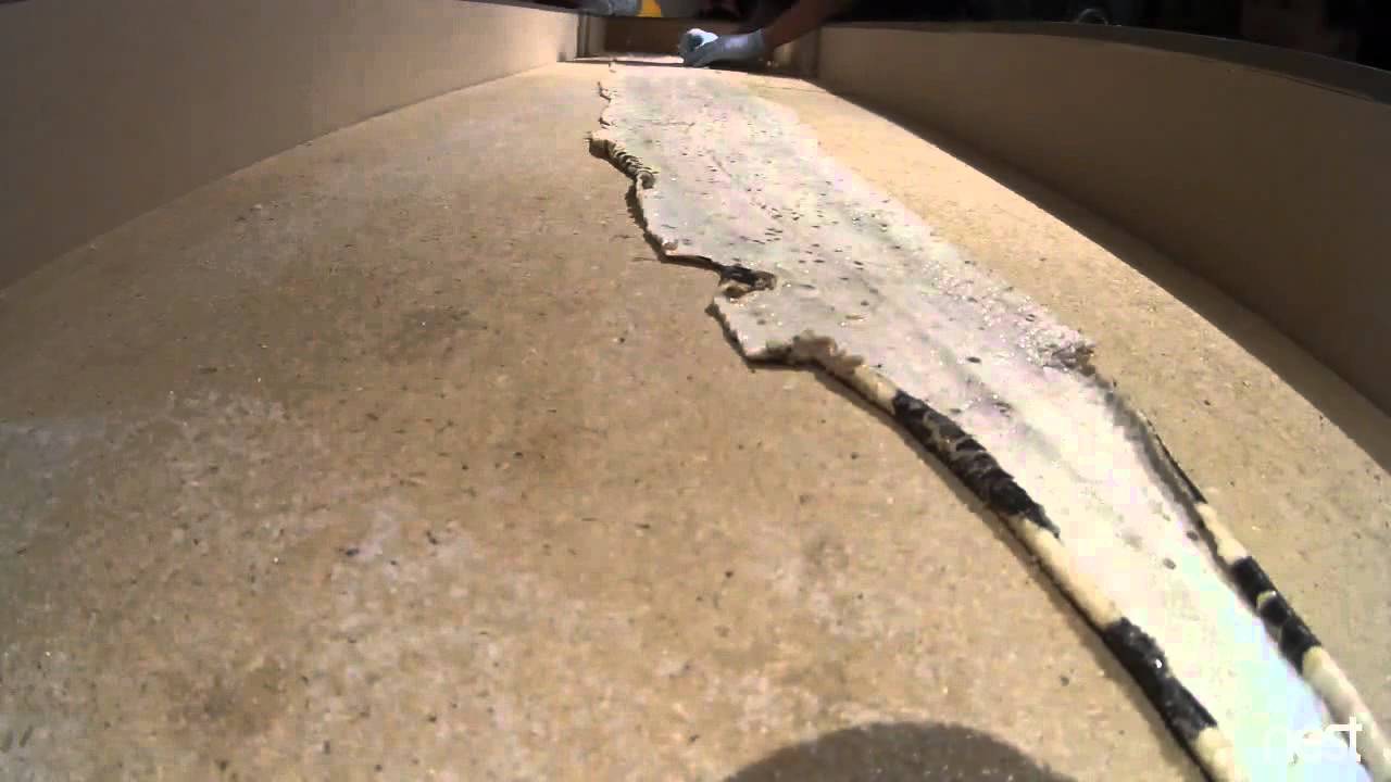 Snake skin drying camera: Week 2 - YouTube