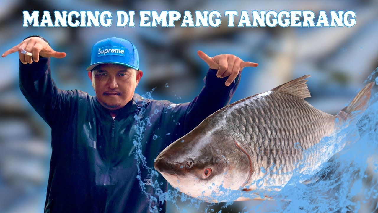 MANCING DI EMPANG TANGGERANG APAKAH ADA CINTA NYA ⁉️ ️🥇 - YouTube