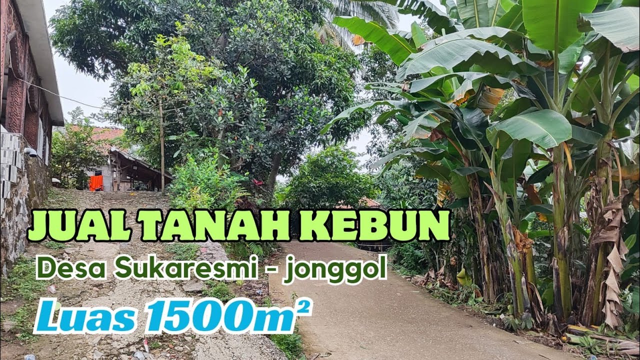 Tanah dijual luas tanah 1500m² surat segel desa..lokasi Sukaresmi kec ...
