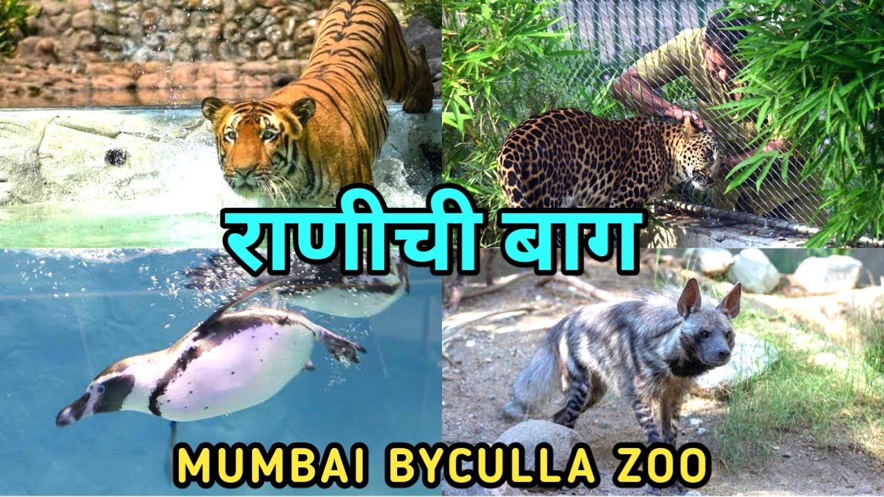 Ranichi Baug Mumbai | Byculla zoo | Jijamata Udyan l राणीची बाग - YouTube