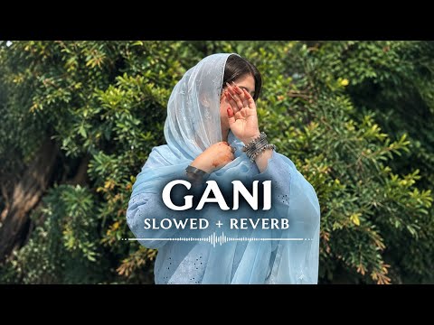 Gani ~ Akhil Song (Slowed +Reverb) | 8D Audio | Lofi Song | SK Digital Nature 