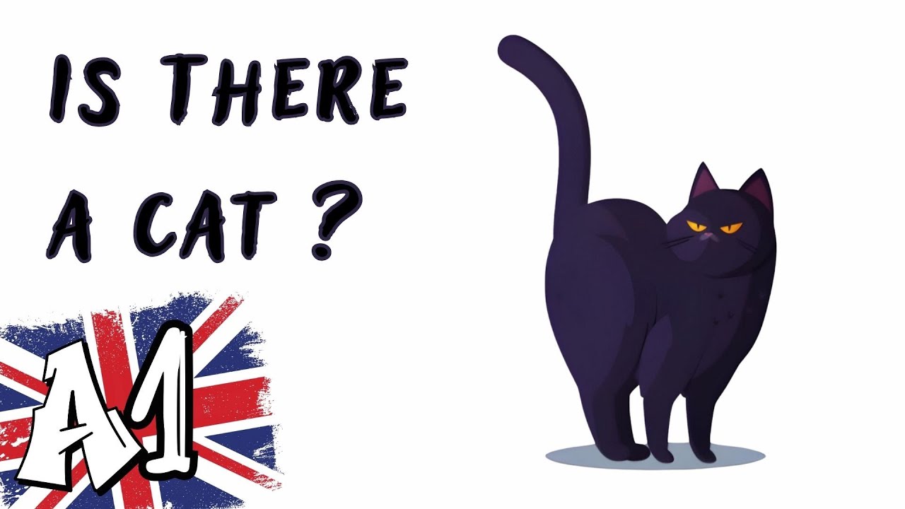 How to Use “There is” and “There are”: English for Beginners (A1) - YouTube
