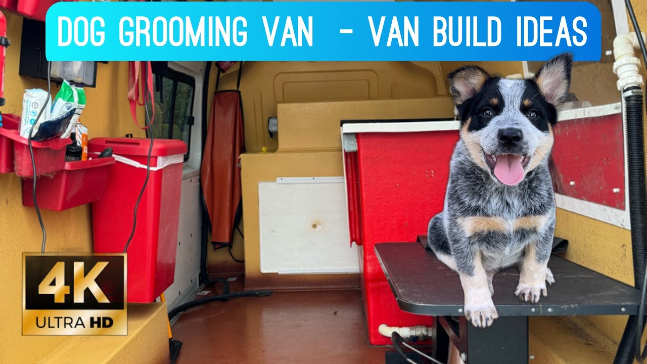 Dog Grooming Van Conversion - Mobile Doggy Parlour - Van Build Ideas Uk ...
