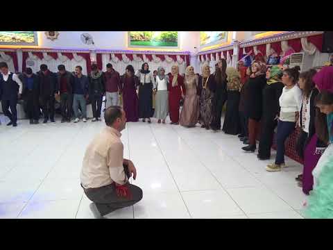 SİVEREK ORTAYA ÇIKMA  FOTO CEYLAN