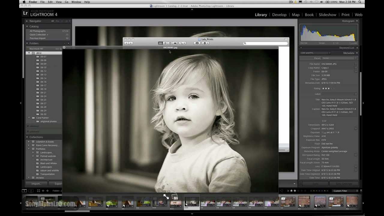 Adobe Lightroom - Exporting for the Web and Print!! - YouTube