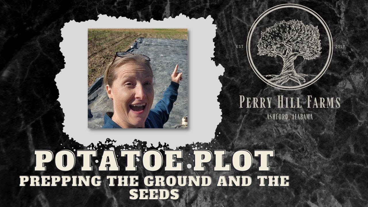 Potato Plot: Prepping the Ground and the Seeds - YouTube