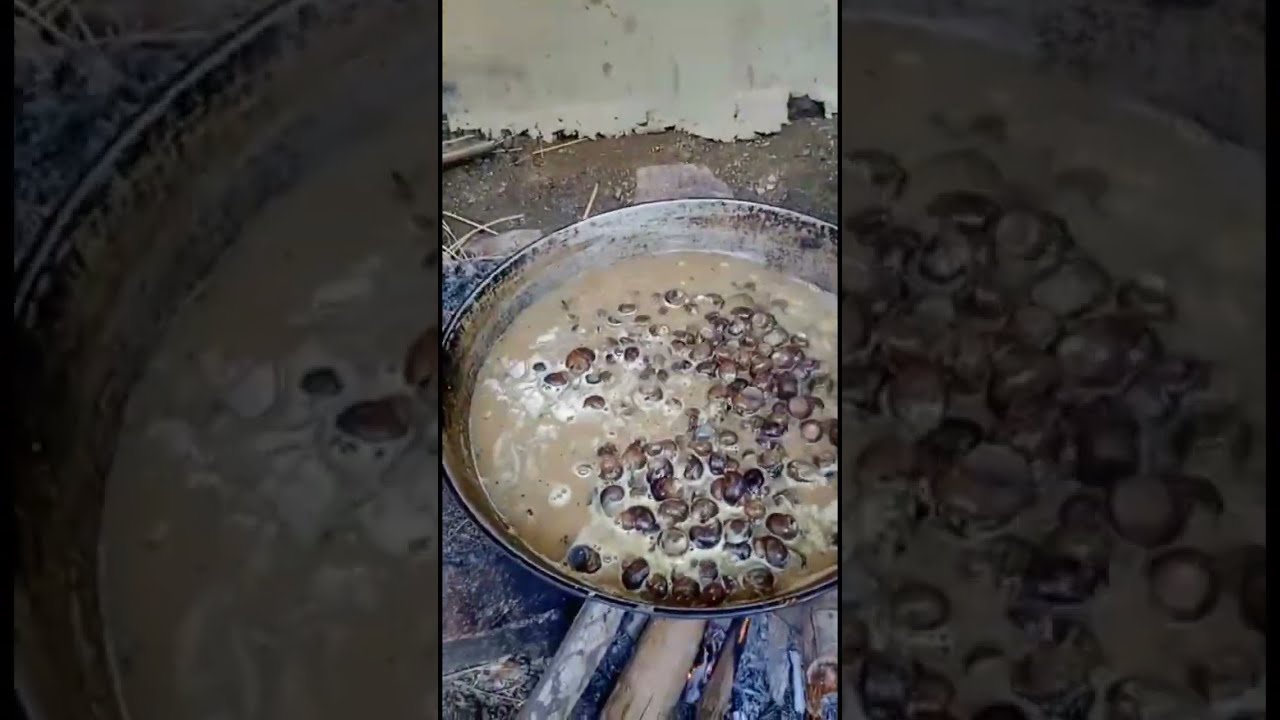 Snail recipe short video | Ghongha masala recipe | yummy yummy😋 - YouTube