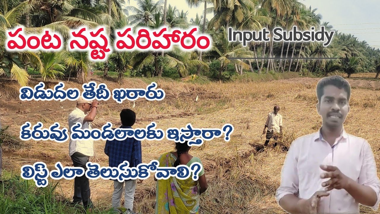 Input Subsidy 2024 in Telugu - Panta Nasta Pariharam - Input Subsidy ... Input Subsidy 2024 in Telugu - Panta Nasta Pariharam - Input Subsidy ...
