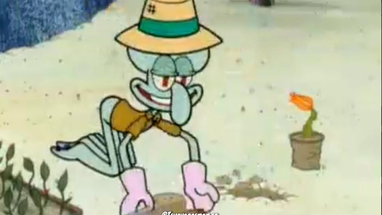 Squidward finds something in his garden - YouTube