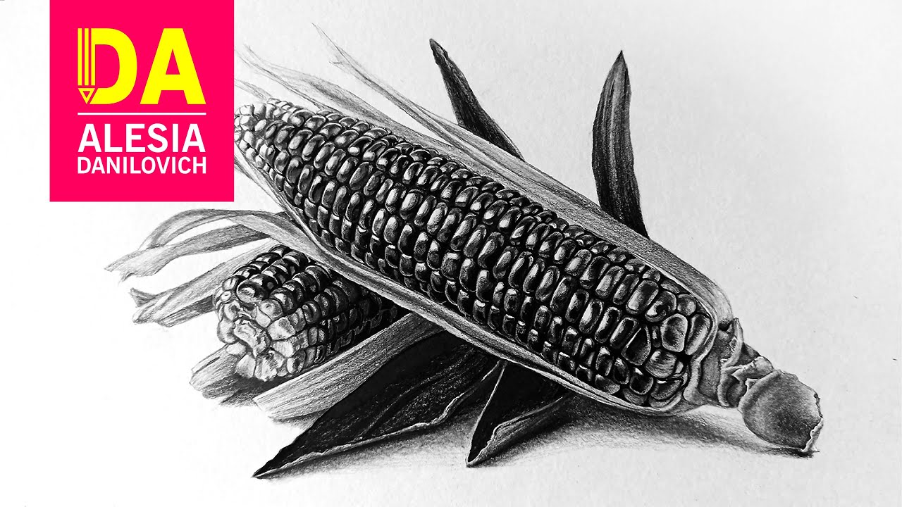 Drawing CORN!!! How to draw by hand mixed technique. - YouTube