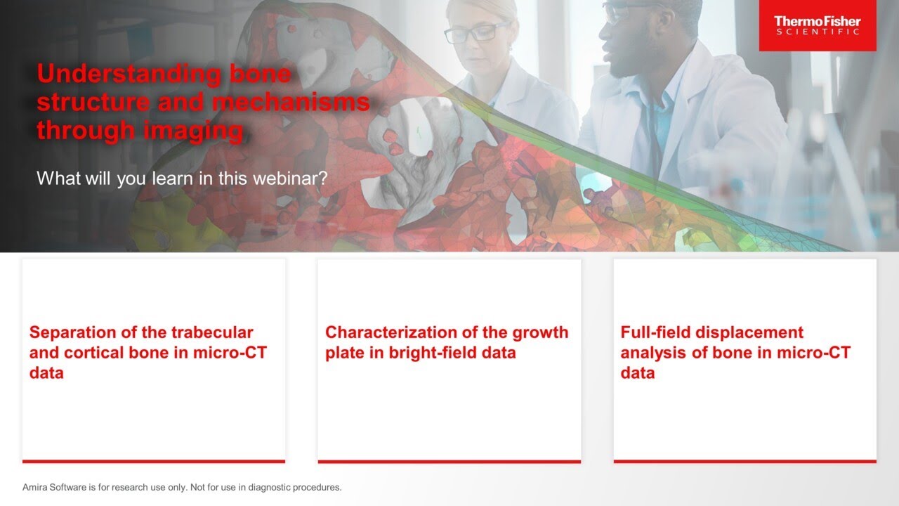 Bone and tissue image analysis and visualization demonstration using ...