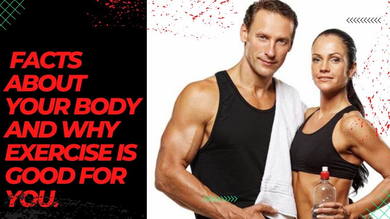 HERE ARE 15 FUN FACTS ABOUT YOUR BODY AND WHY EXERCISE IS GOOD FOR YOU ...