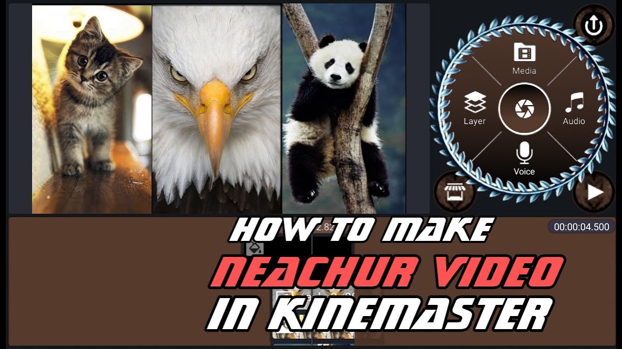 HOW TO MAKE NEACHUR VIDEO IN KINEMASTER || By Addyant Creation|| - YouTube