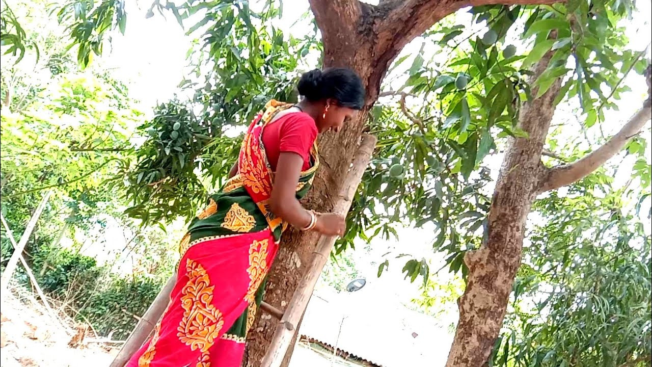 आज में ? bini vlog family - YouTube