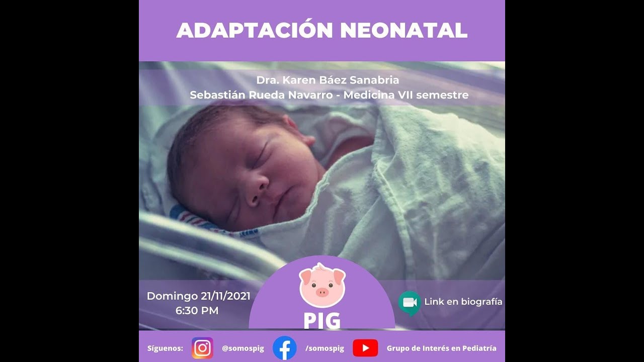 Adaptación Neonatal - YouTube