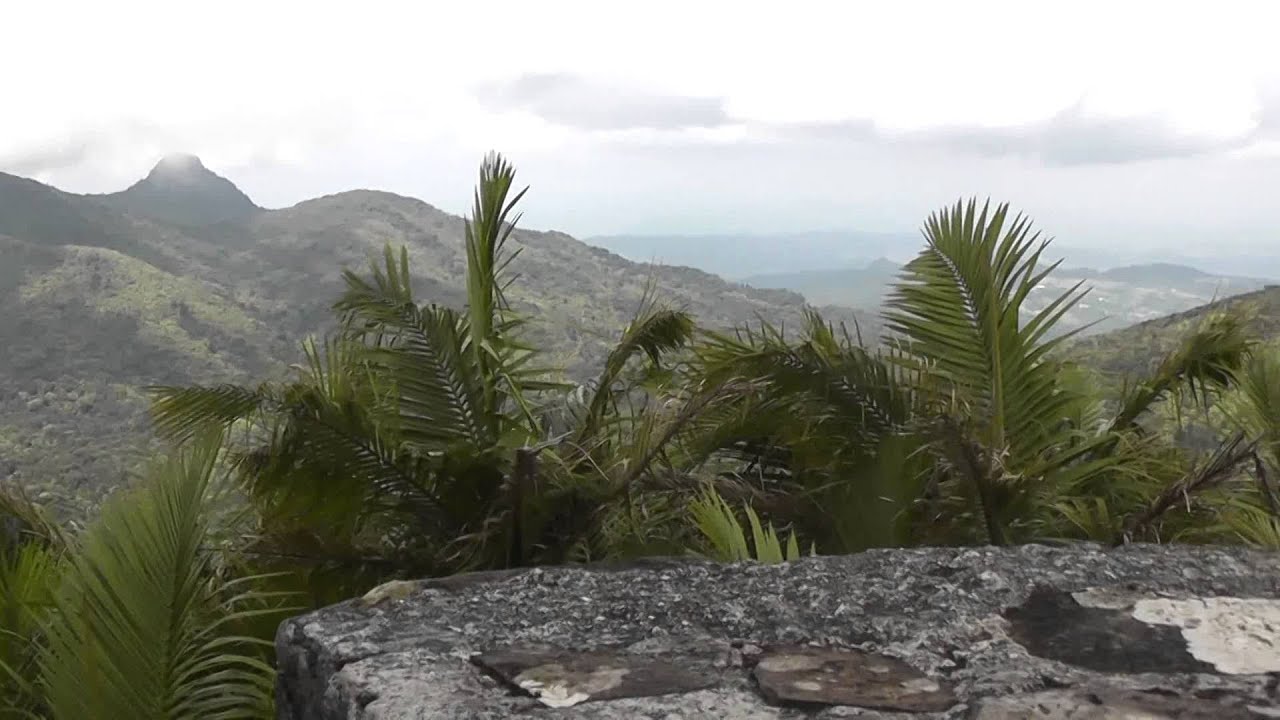 Panaromic view atop Torre Britton - El Yunque National Forest Puerto ...
