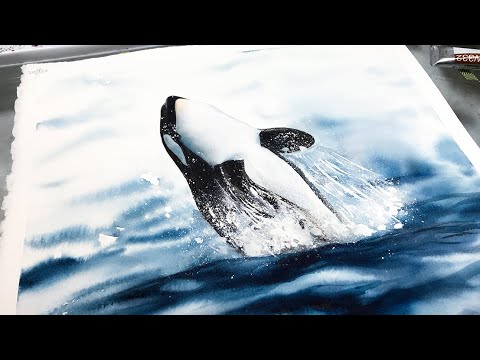 Painting Orca | Killer Whale with Watercolors