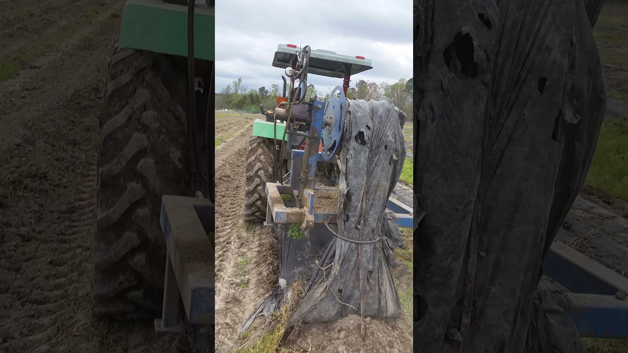 Plastic mulch lifter - YouTube