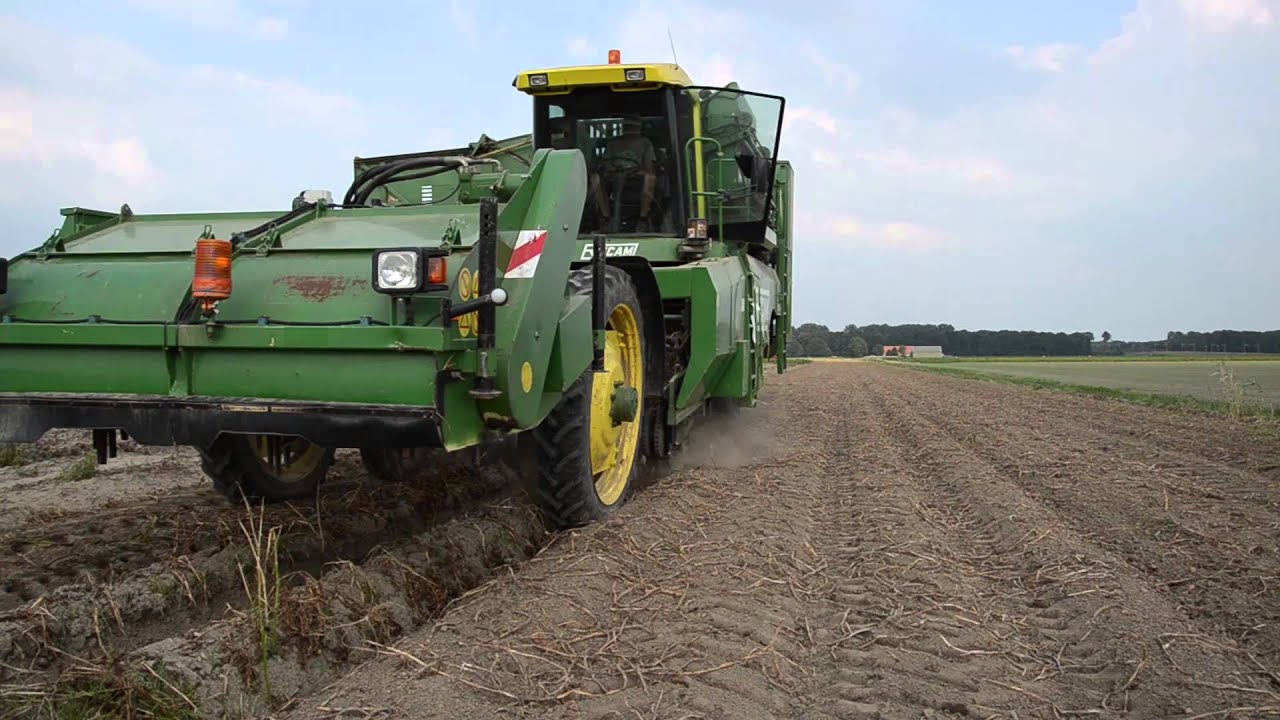 Aardappels rooien 2014 - YouTube