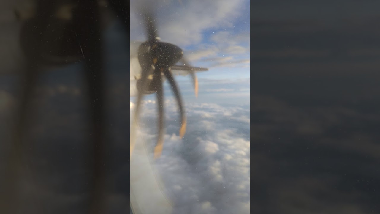 The Flaying - YouTube