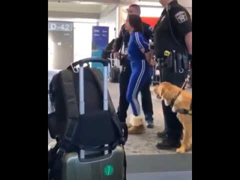 White Woman Resisting Arrest at Airport - YouTube