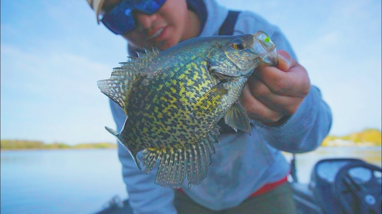 Crappie Fishing at Small Lake (Why I’m Not Keeping Em) - YouTube