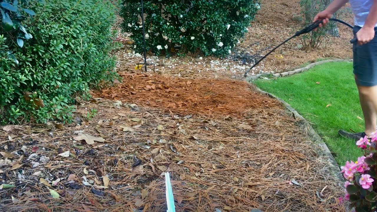 Enviro Pine Straw Dye/Paint. - YouTube