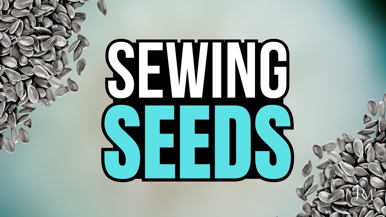 Sewing Seeds 🌱 - YouTube