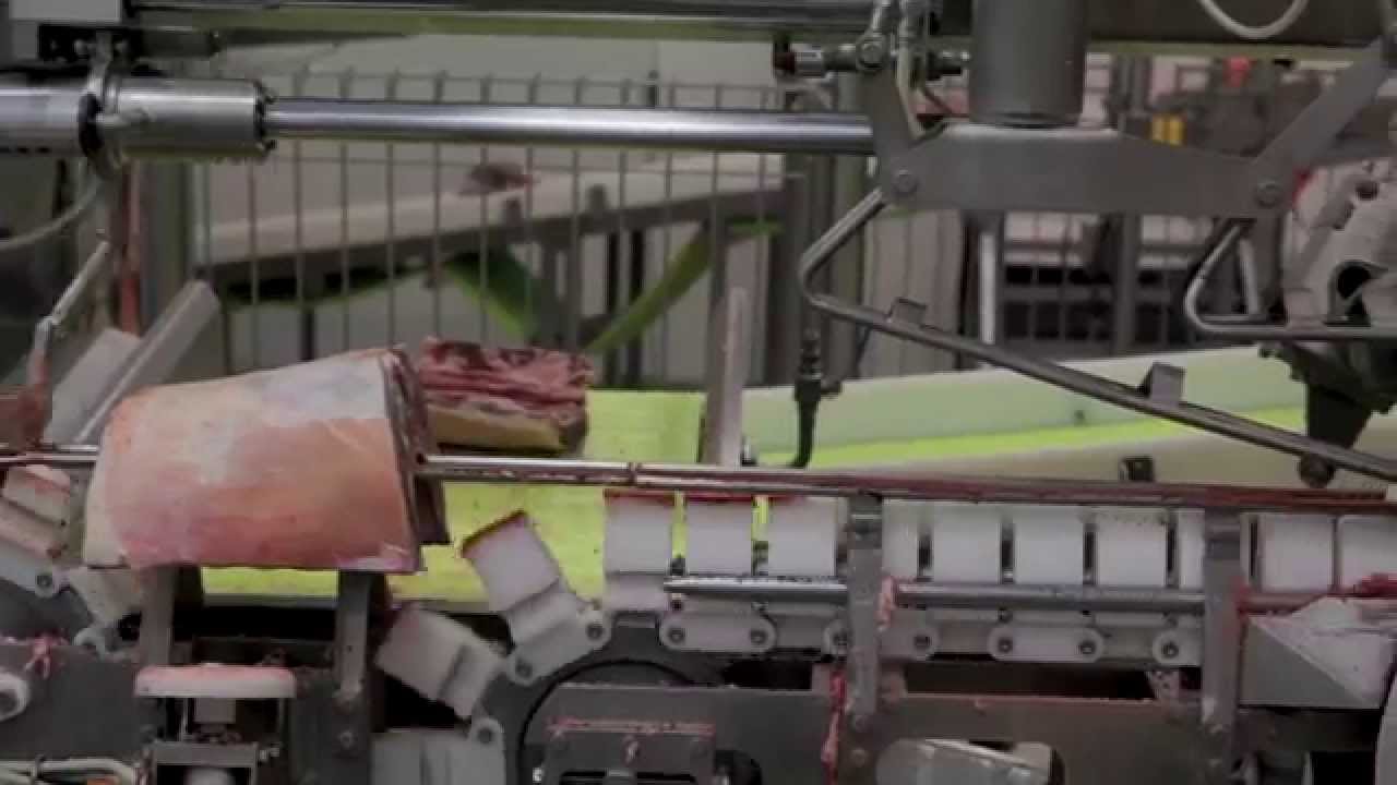Transforming the Australian red meat industry: automated x-ray guided ...