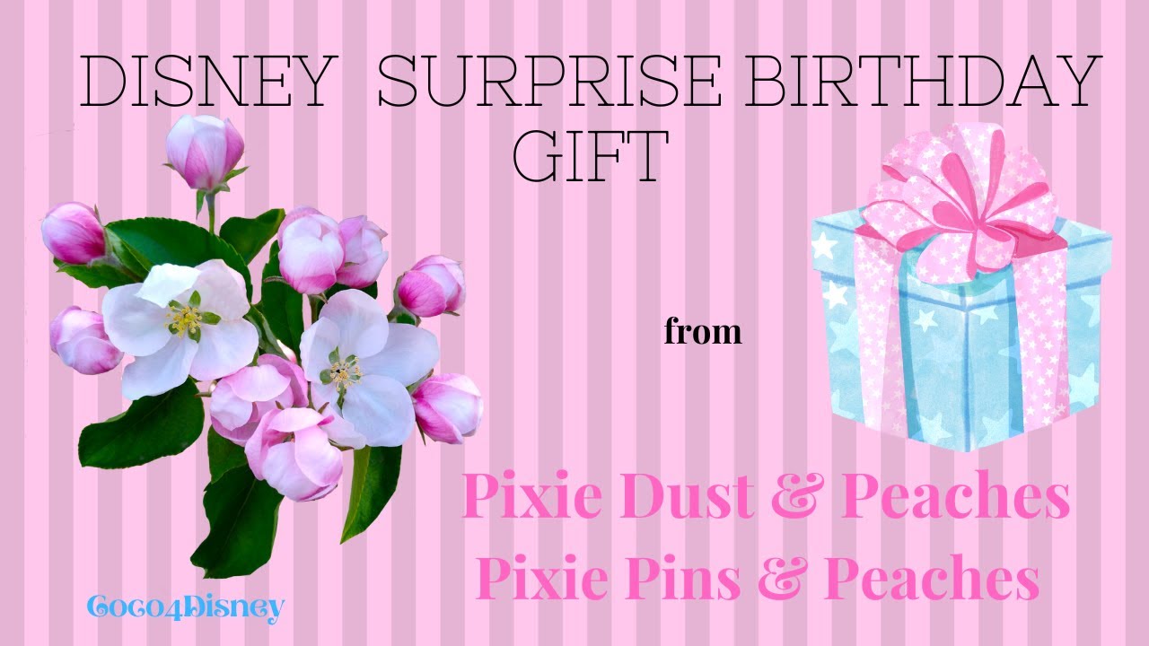 Disney Birthday Presents from Pixie Dust & Peaches - YouTube