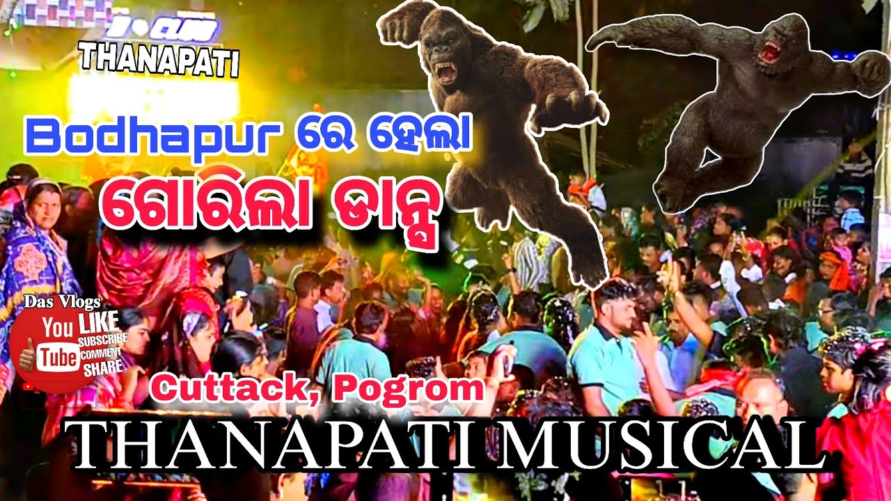 ଗାଡି ଯାଉ ଯାଉ ଅଟକି ଗଲା ମଝି ଶାହୀ ଛକ ରେ | THANAPATI MUSICAL |Cuttack ...