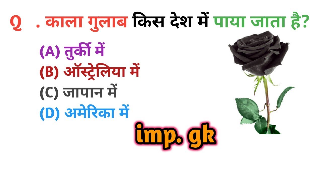 Gk Questions And Answers | General Knowledge | Lucents Gk Objective ...