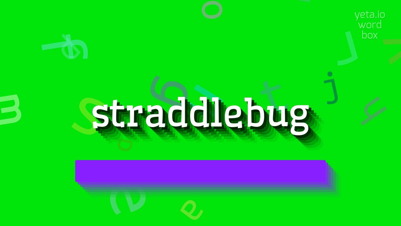 How to say "straddlebug"! (High Quality Voices) - YouTube