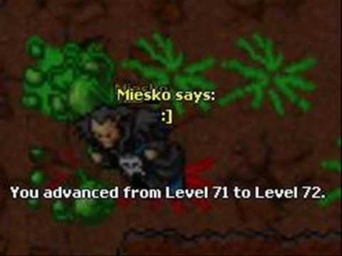 Bot, Boty, Elf Bot, Tibia Auto, Tibia Bot NG, Tibia MC wszystko dla ...