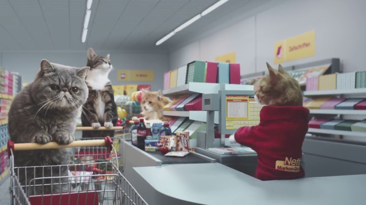 Netto Katzen Advert - YouTube