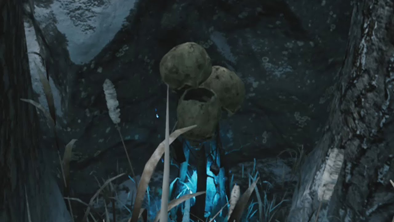 DbD | the boon - YouTube