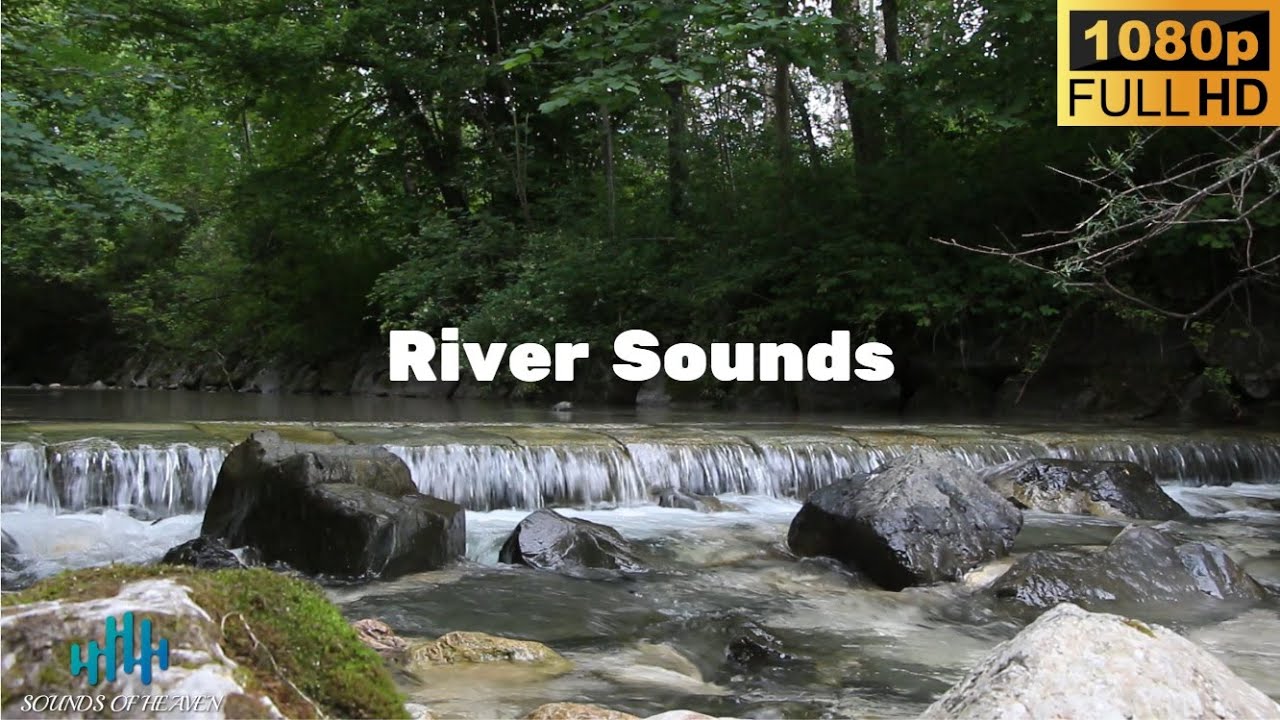 River sounds | Sleep and Relax | Sound of a rapidly river | 30min ...