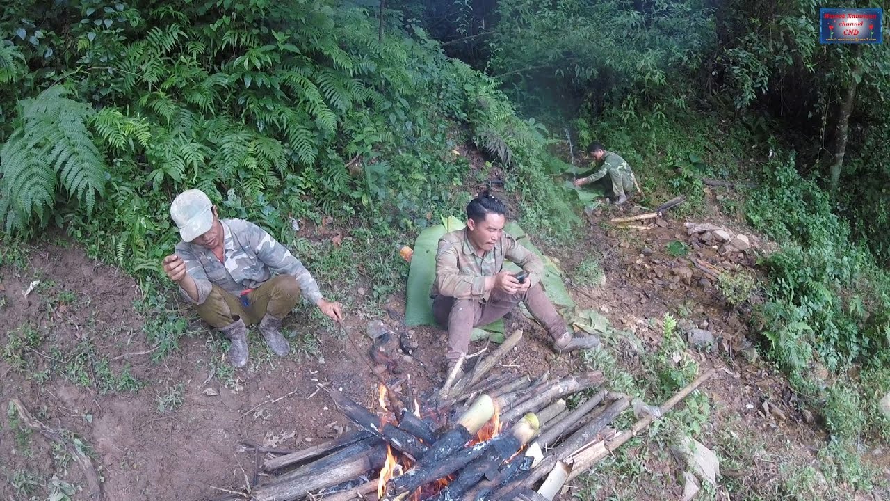 Yos hav zoov tua noog daj thiab tua nas November13 - YouTube