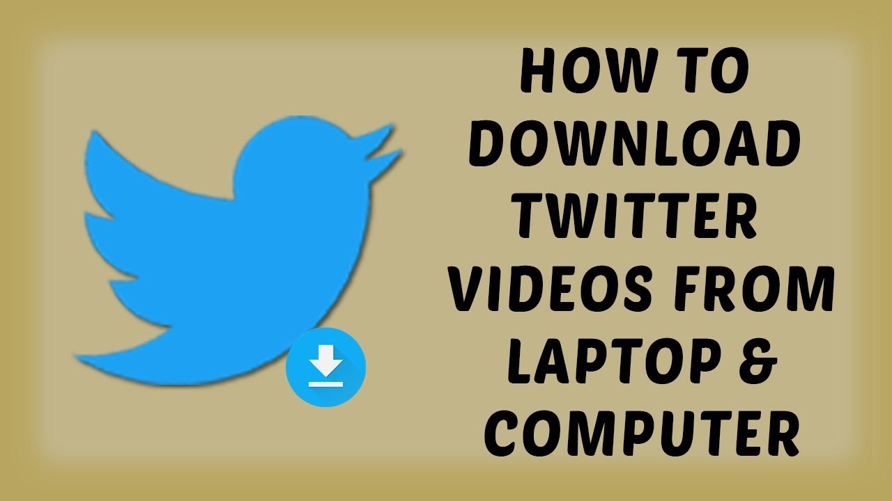 How To Download Twitter Videos From Laptop & Computer | Twitter ...